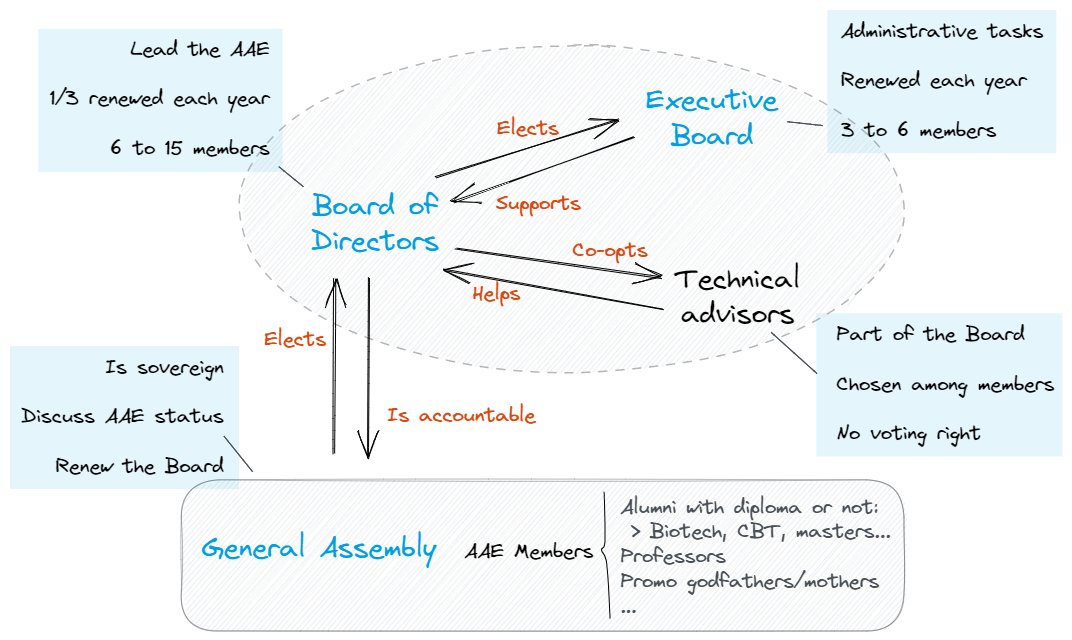 AAE structure – Alumni Association of the ESBS